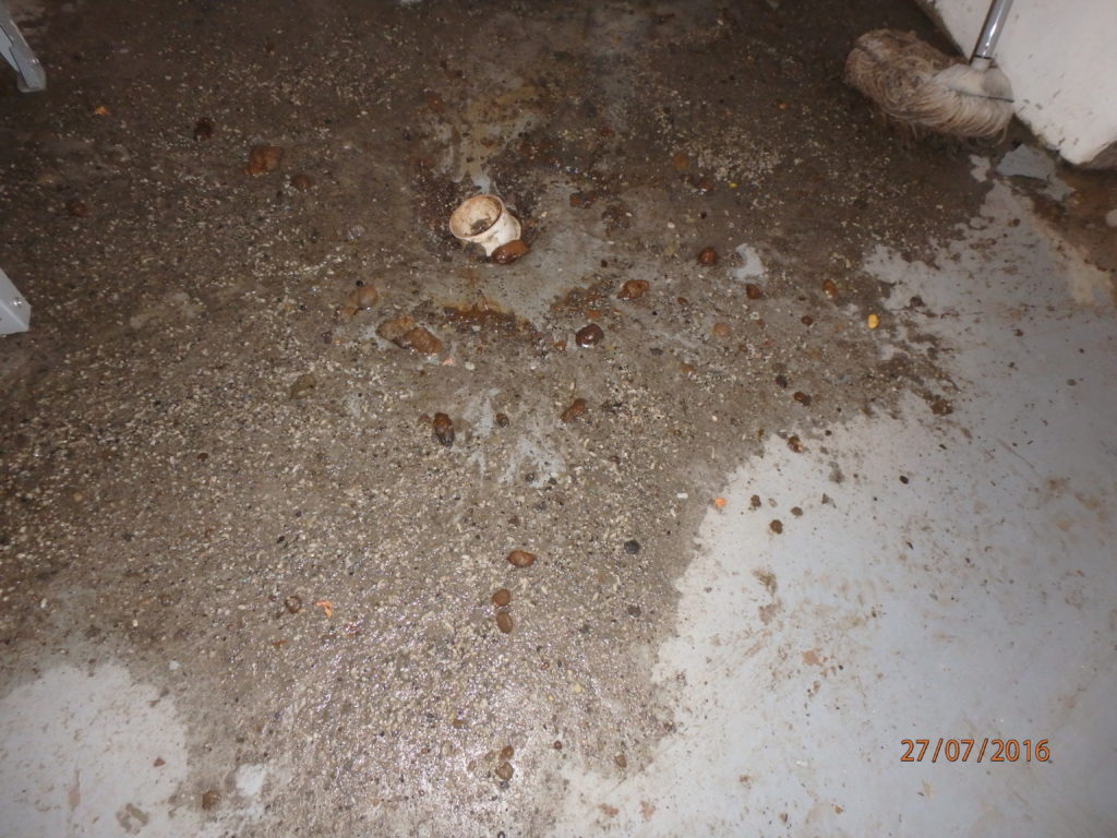 Sewage Spill Cleanup Philadelphia | Property Recovery 911